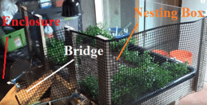 How to Make a Nesting Box for Turtles? – The Turtle Hub