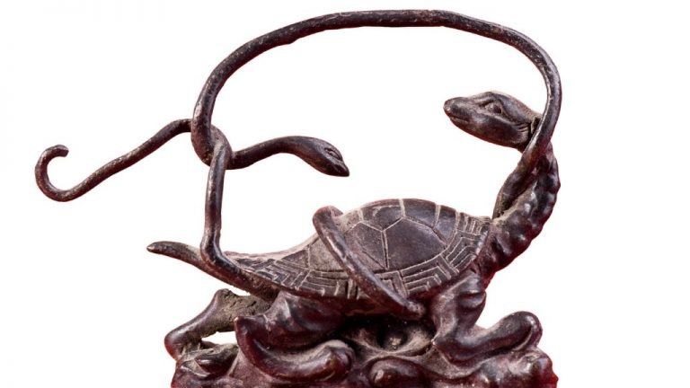 What Is The Meaning Of Different Turtle Symbols? – The Turtle Hub