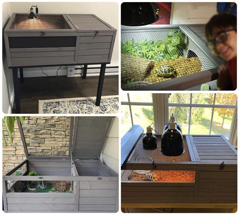 How To Build A Sulcata Tortoise House? [Step by Step] – The Turtle Hub