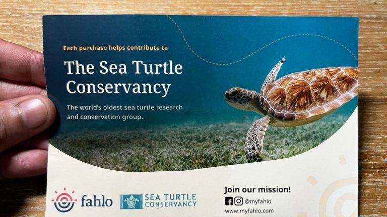 Can You Really Track a Sea Turtle with Fahlo? - The Turtle Hub