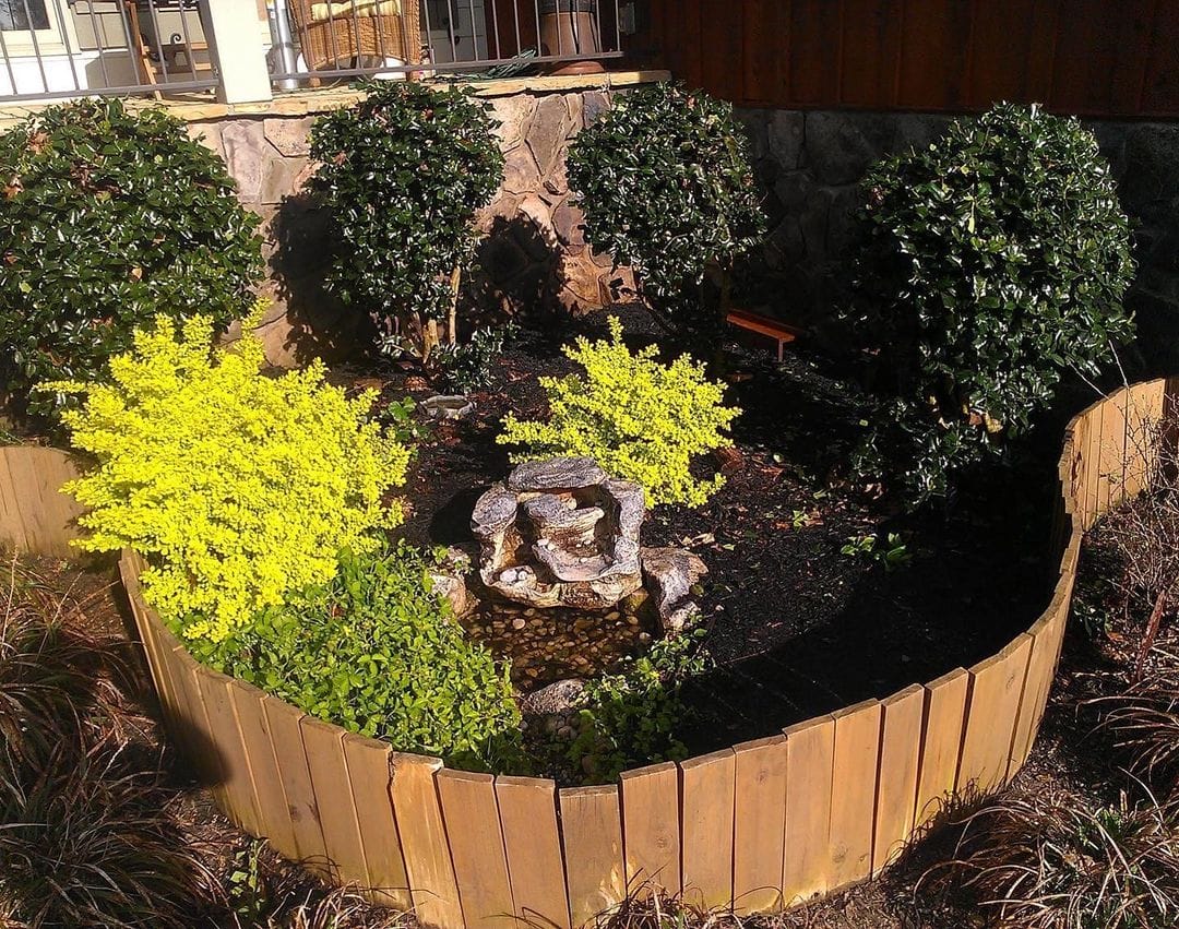 25 DIY Box Turtle Habitat Ideas & Inspirations For Beginners - The ...