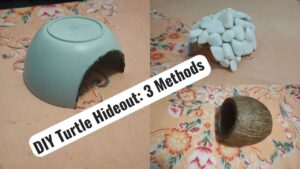 DIY Turtle Hideout: 3 Methods (Step-By-Step With Pictures) – The Turtle Hub