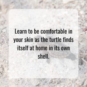 150 Turtle Quotes: Motivational, Inspirational, Cute, Funny, Love, Sea ...