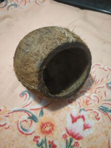 DIY Turtle Hideout: 3 Methods (Step-By-Step With Pictures) – The Turtle Hub