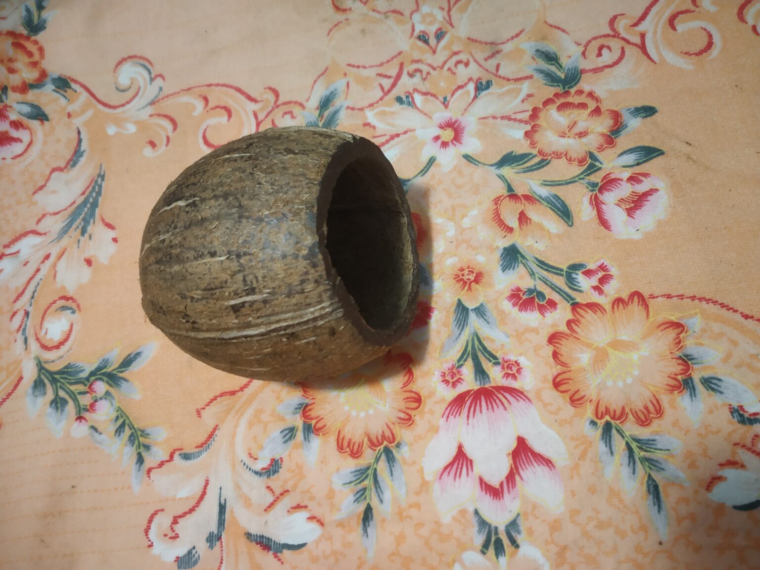 DIY Turtle Hideout: 3 Methods (Step-By-Step With Pictures) – The Turtle Hub