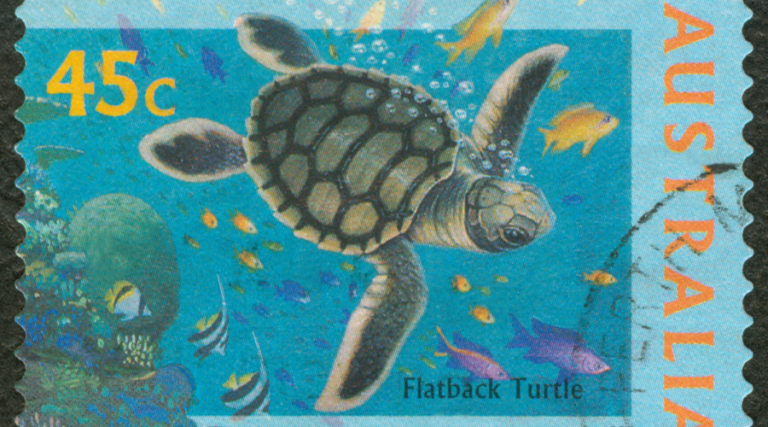 Turtles & Tortoises In Chinese Culture: Art, Symbolism, History – The ...