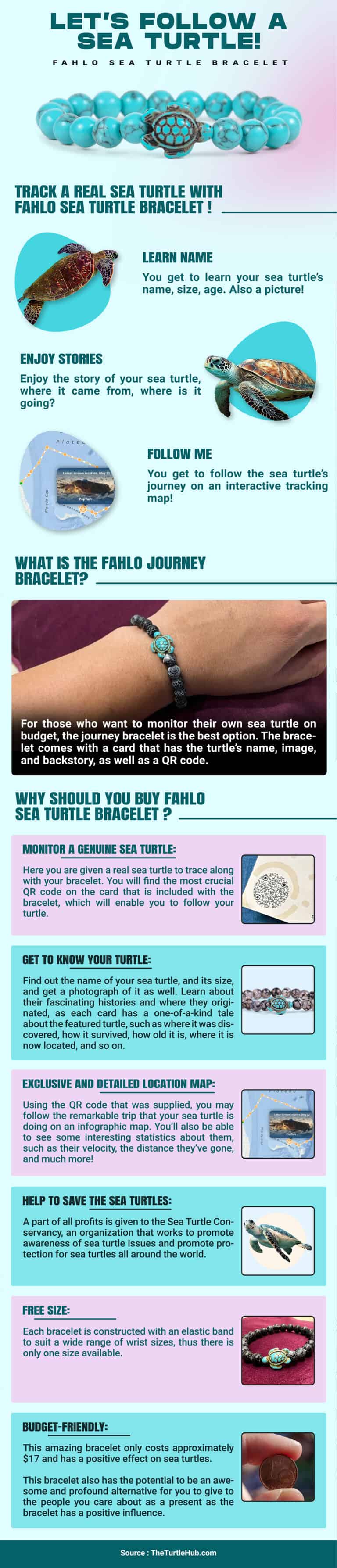 Can You Really Track a Sea Turtle with Fahlo? - The Turtle Hub
