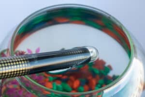 18 Must-Have Accessories for Your Turtle’s Tank: From Basking Platforms ...