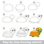 How To Draw A Turtle Step by Step [4 Methods] – The Turtle Hub
