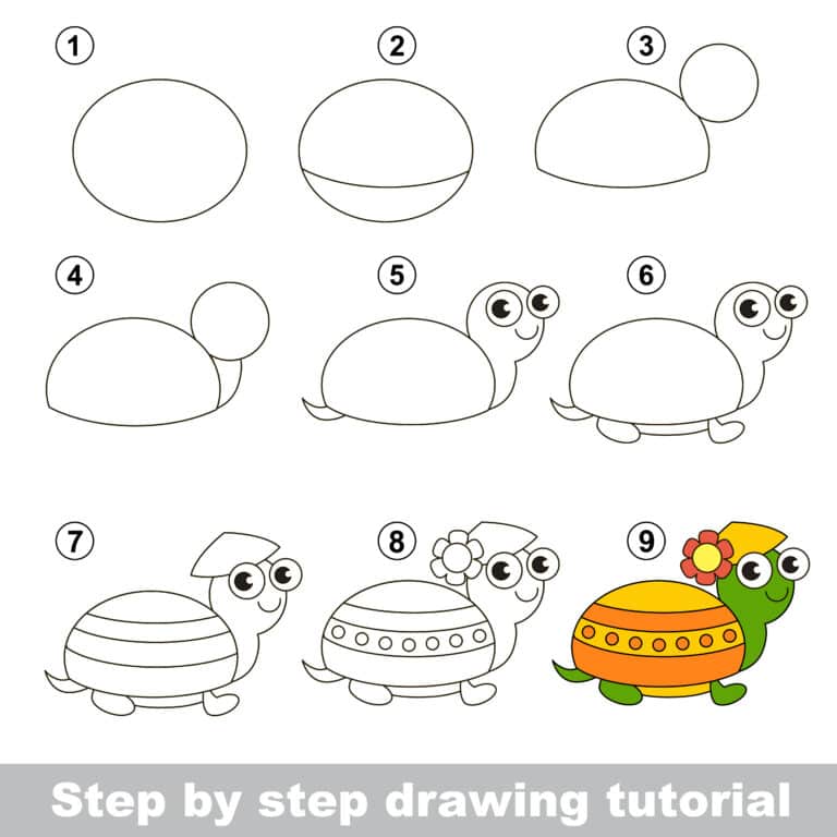 How To Draw A Turtle Step by Step [4 Methods] – The Turtle Hub