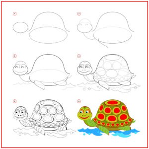 How To Draw A Turtle Step by Step [4 Methods] – The Turtle Hub