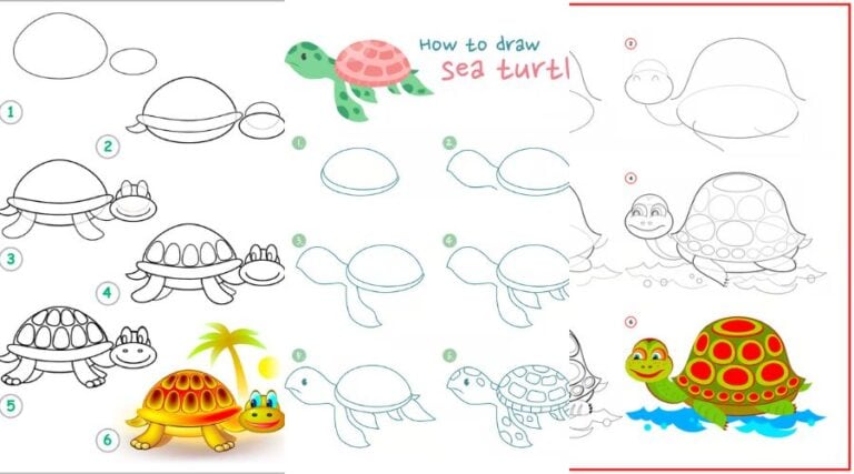 How To Draw A Turtle Step by Step [4 Methods] – The Turtle Hub