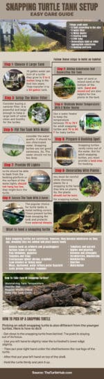 Snapping Turtle Tank Setup & Easy Care Guide! – The Turtle Hub