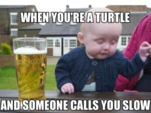 100 Funny Turtle Memes & AI Turtle Pics – The Turtle Hub