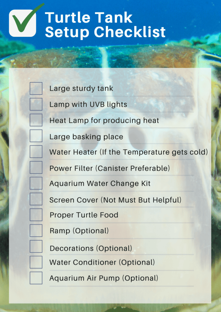 30 DIY Tortoise Enclosure Ideas For A Natural Haven – The Turtle Hub