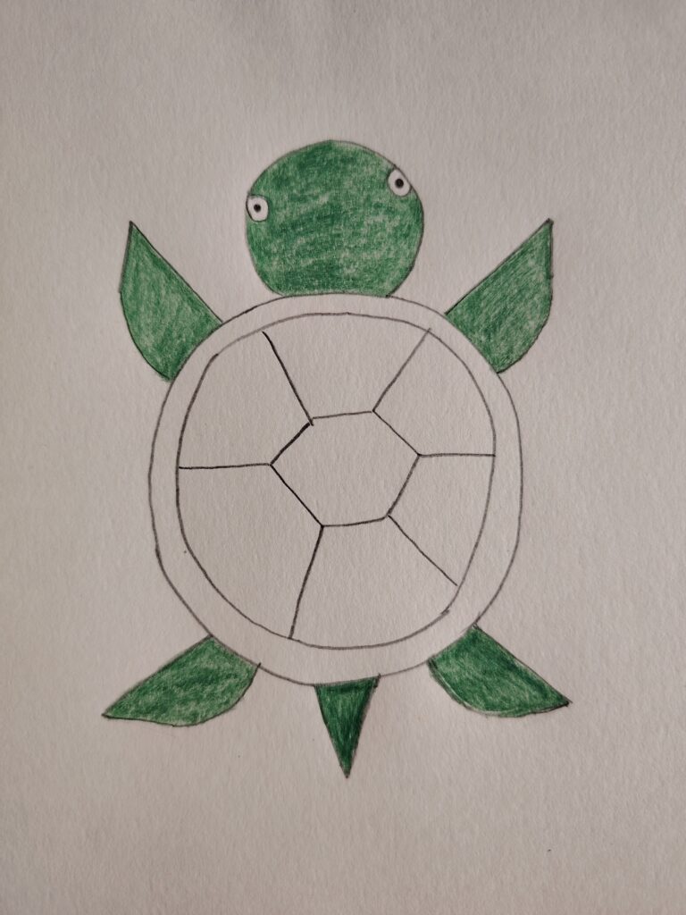 Turtle Drawing & Coloring Guide For kids [Step by Step] – The Turtle Hub