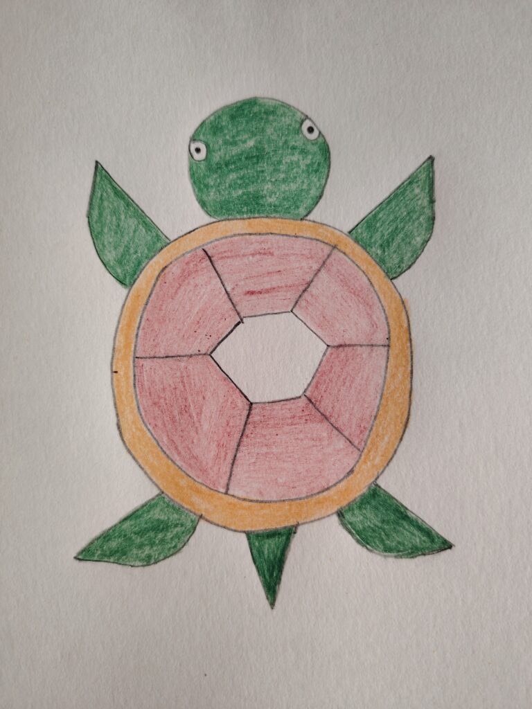 Turtle Drawing & Coloring Guide For kids [Step by Step] – The Turtle Hub