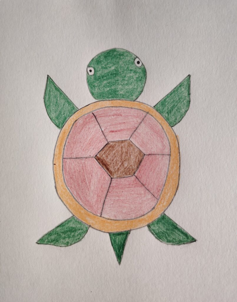 Turtle Drawing & Coloring Guide For kids [Step by Step] – The Turtle Hub