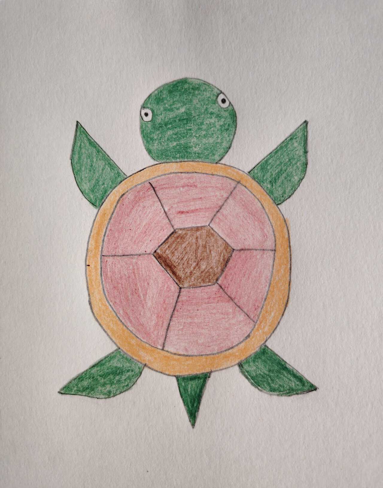 Turtle Drawing & Coloring Guide For kids [Step by Step] – The Turtle Hub