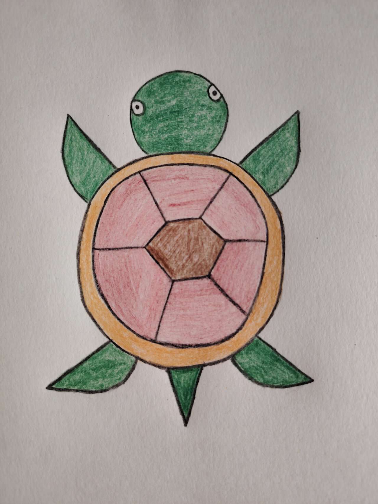 Turtle Drawing & Coloring Guide For kids [Step by Step] – The Turtle Hub