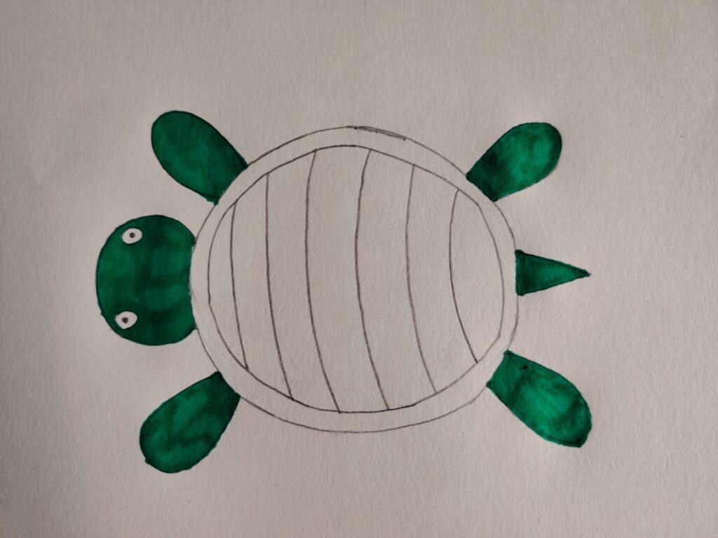 Turtle Drawing & Coloring Guide For kids [Step by Step] – The Turtle Hub
