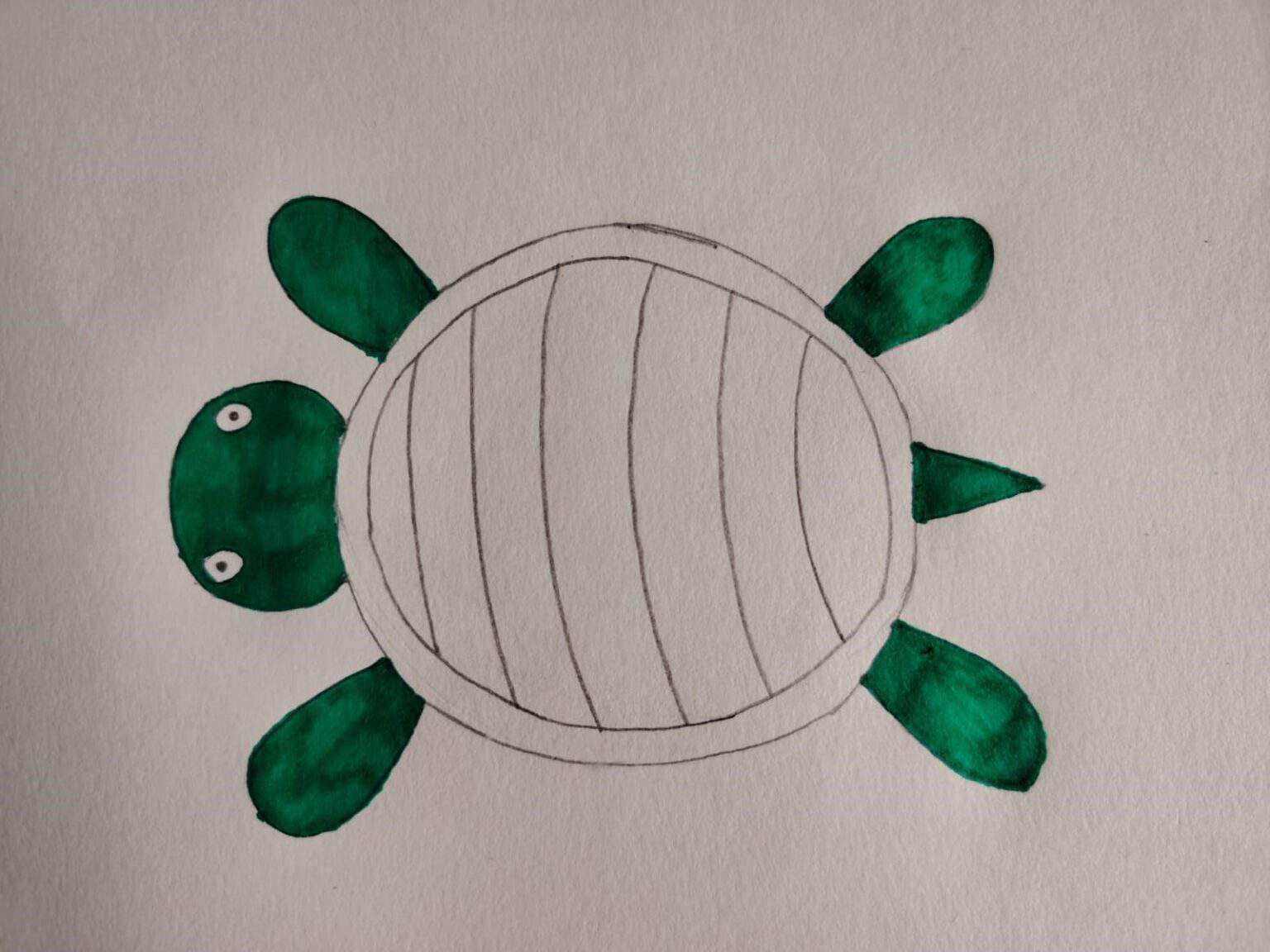 Turtle Drawing & Coloring Guide For kids [Step by Step] – The Turtle Hub
