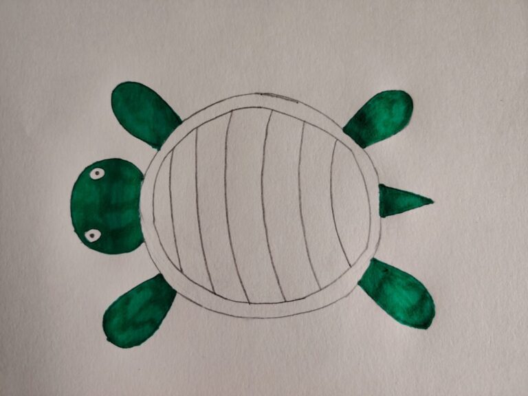 Turtle Drawing & Coloring Guide For kids [Step by Step] – The Turtle Hub