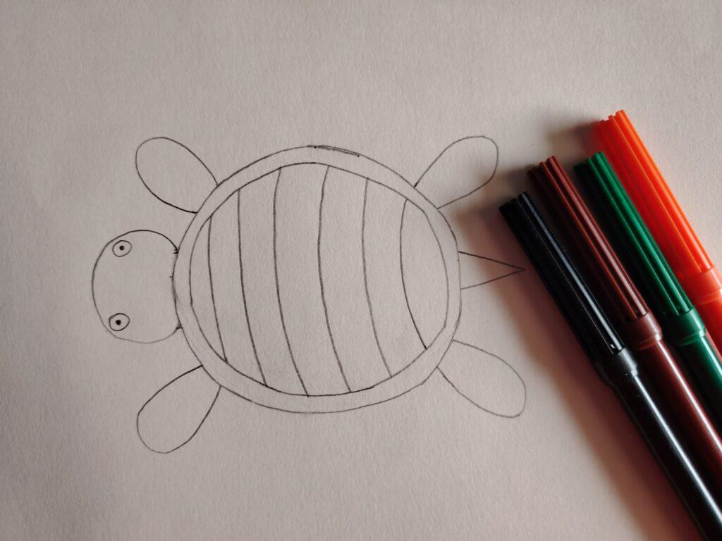 Turtle Drawing & Coloring Guide For kids [Step by Step] – The Turtle Hub