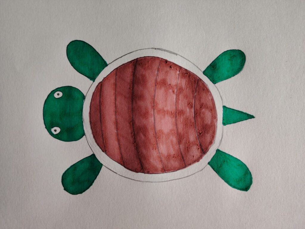 Turtle Drawing & Coloring Guide For kids [Step by Step] – The Turtle Hub