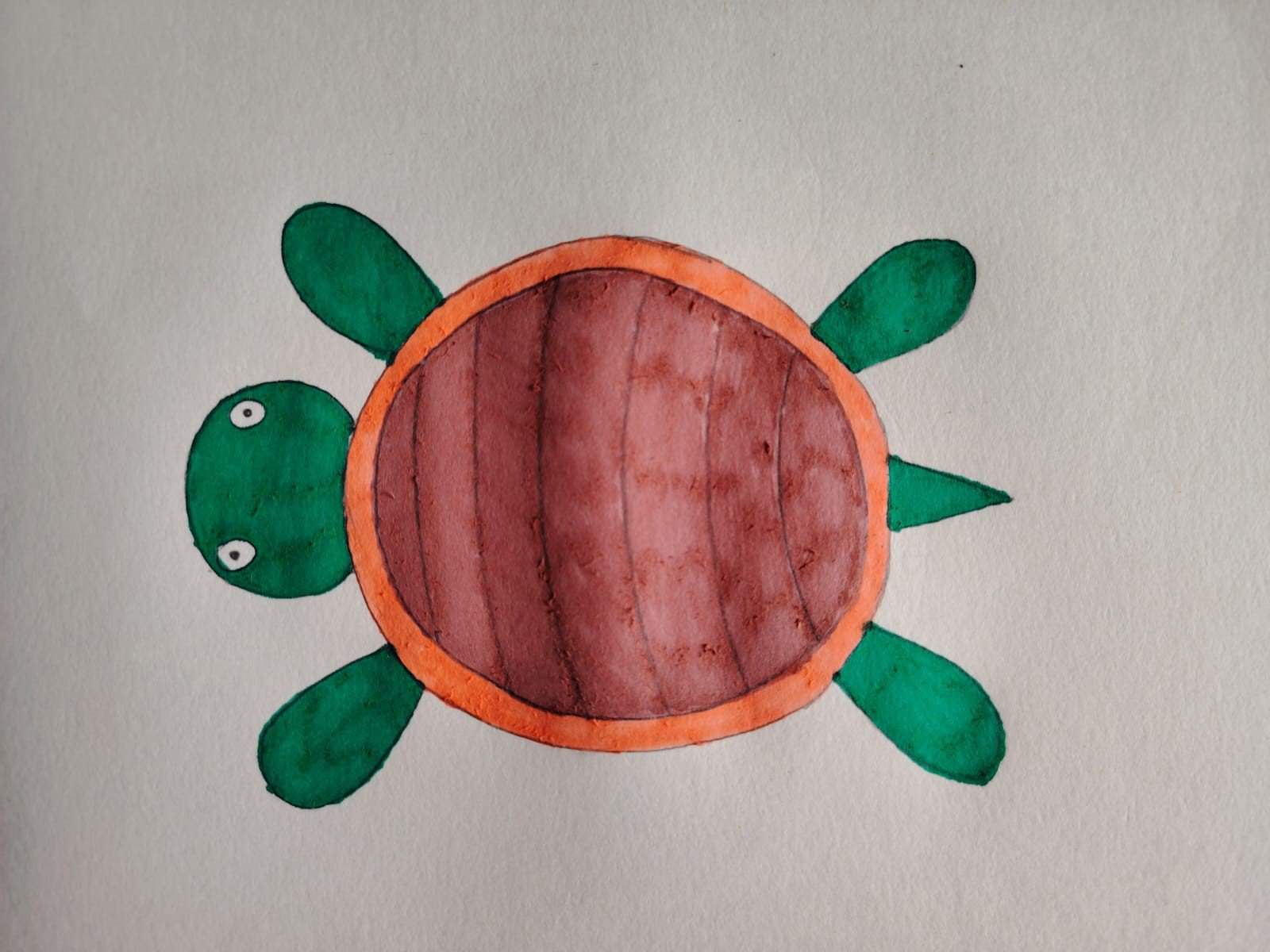Turtle Drawing & Coloring Guide For kids [Step by Step] – The Turtle Hub