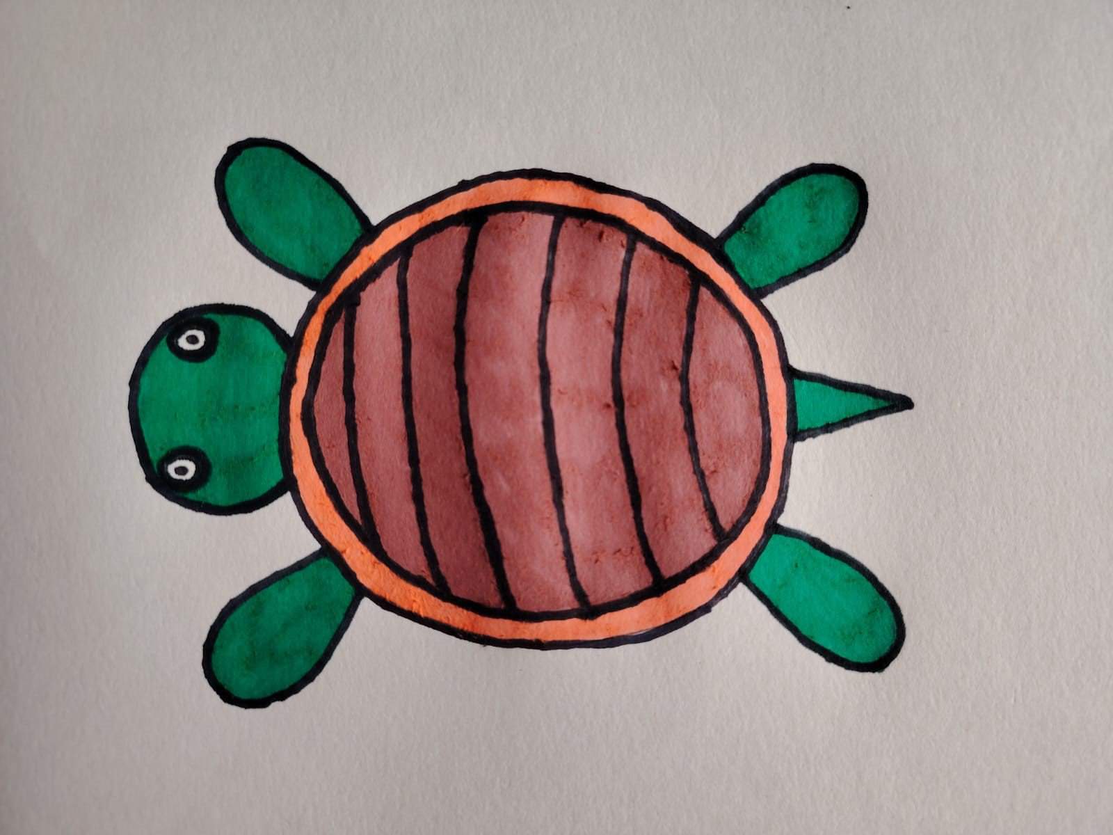Turtle Drawing & Coloring Guide For kids [Step by Step] – The Turtle Hub