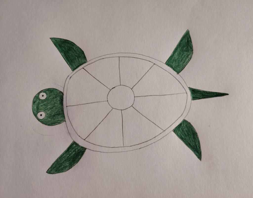 Turtle Drawing & Coloring Guide For kids [Step by Step] – The Turtle Hub