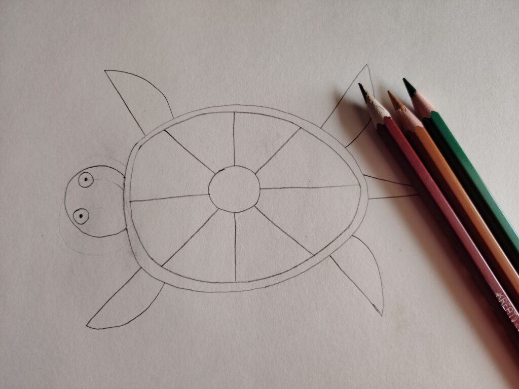 Turtle Drawing & Coloring Guide For kids [Step by Step] – The Turtle Hub