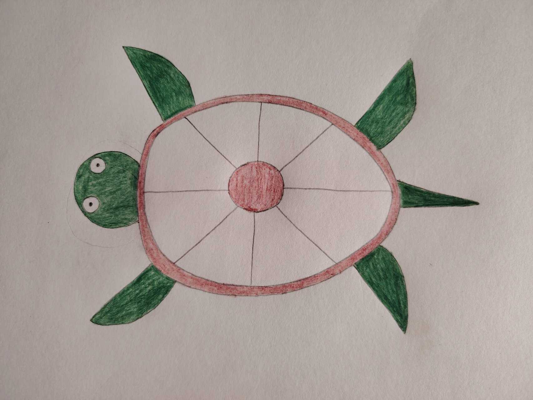 Turtle Drawing & Coloring Guide For kids [Step by Step] – The Turtle Hub