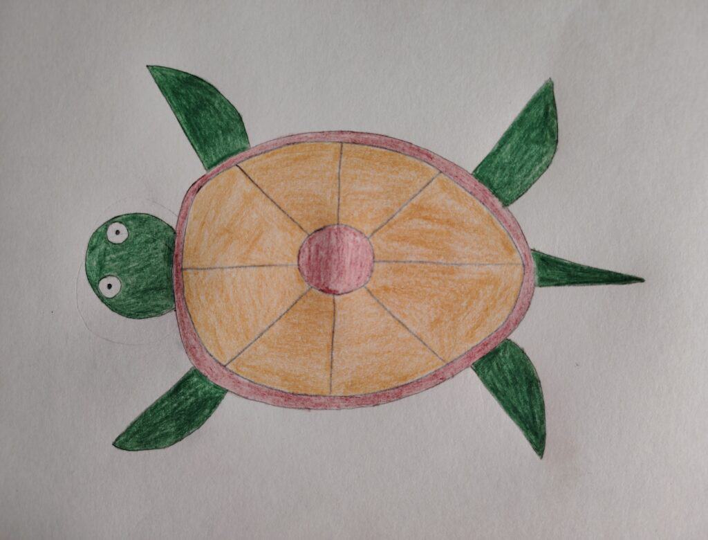 Turtle Drawing & Coloring Guide For kids [Step by Step] – The Turtle Hub