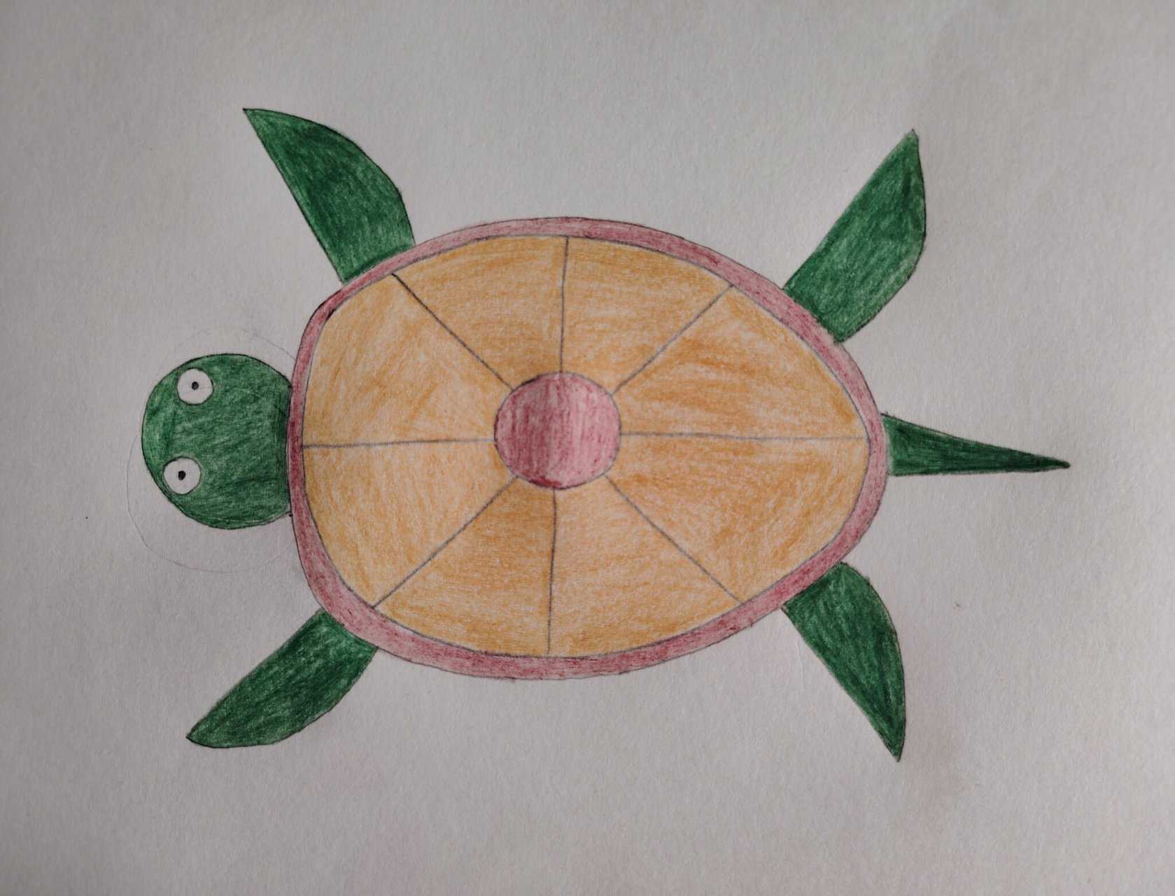 Turtle Drawing & Coloring Guide For kids [Step by Step] – The Turtle Hub