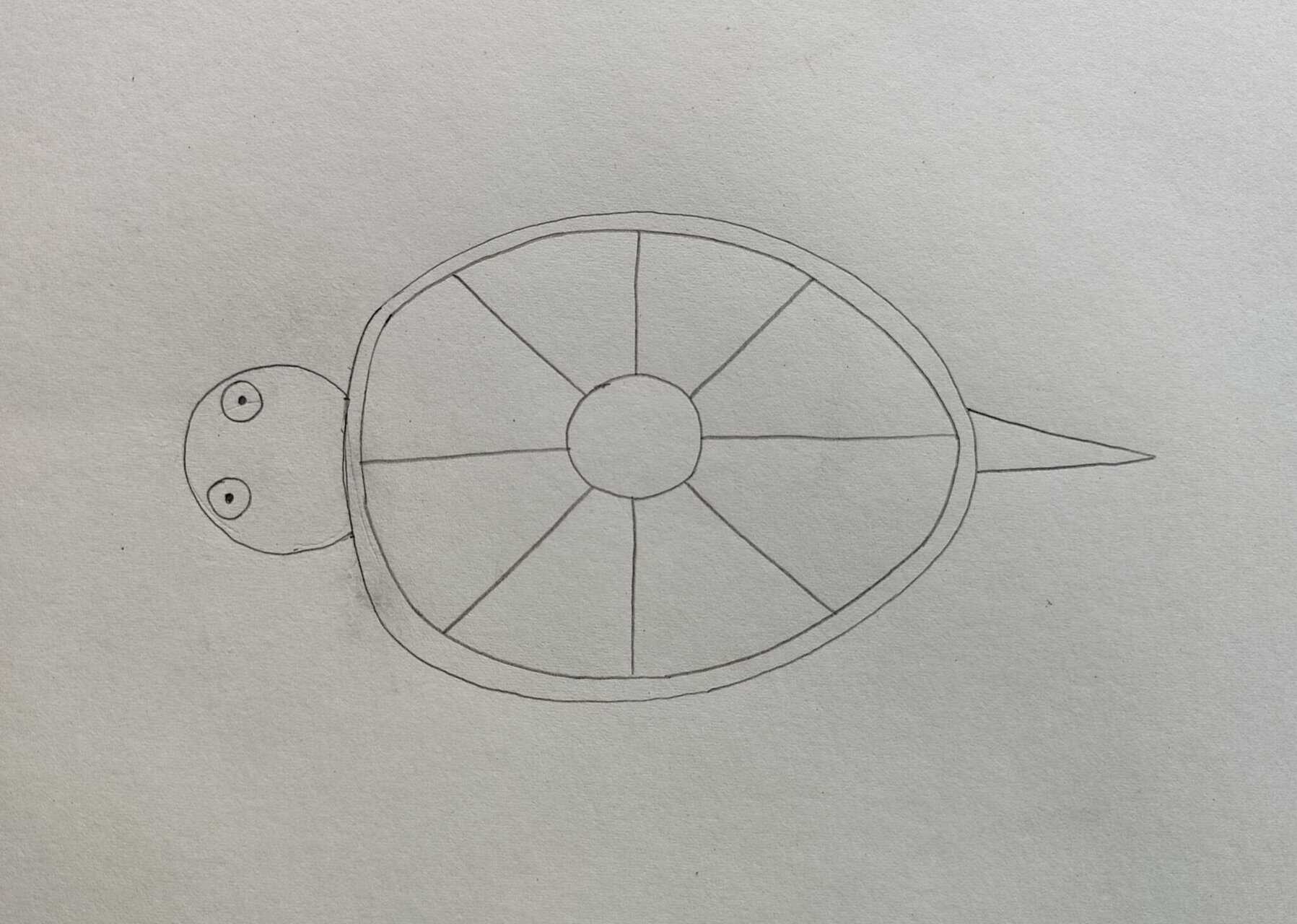 3 Simple and Cute Turtle Drawing Ideas for Kids: Step-by-Step Guide ...
