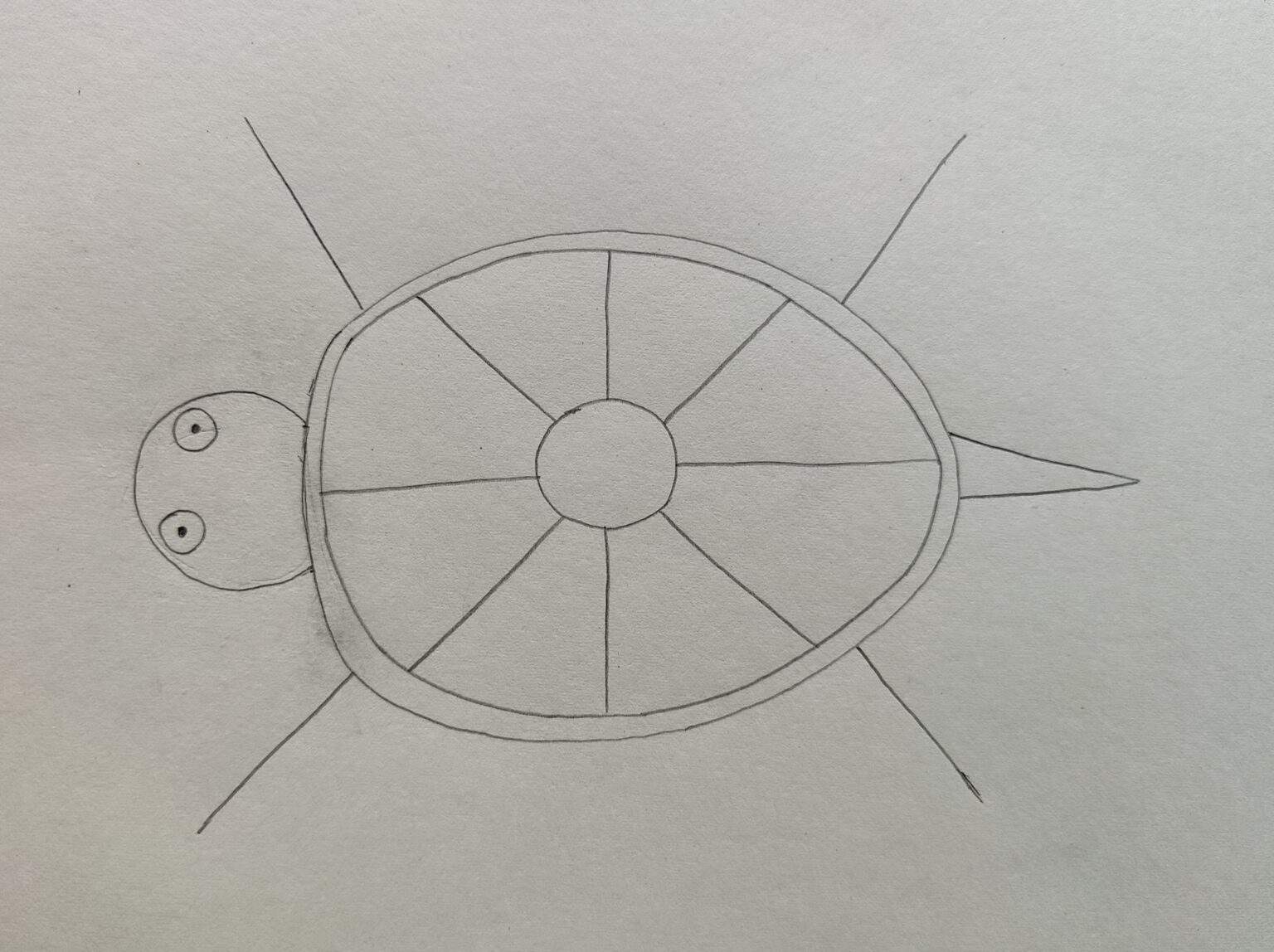 3 Simple and Cute Turtle Drawing Ideas for Kids: Step-by-Step Guide ...