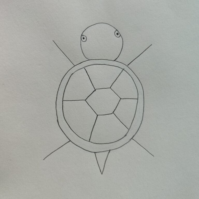 3 Simple and Cute Turtle Drawing Ideas for Kids: Step-by-Step Guide ...