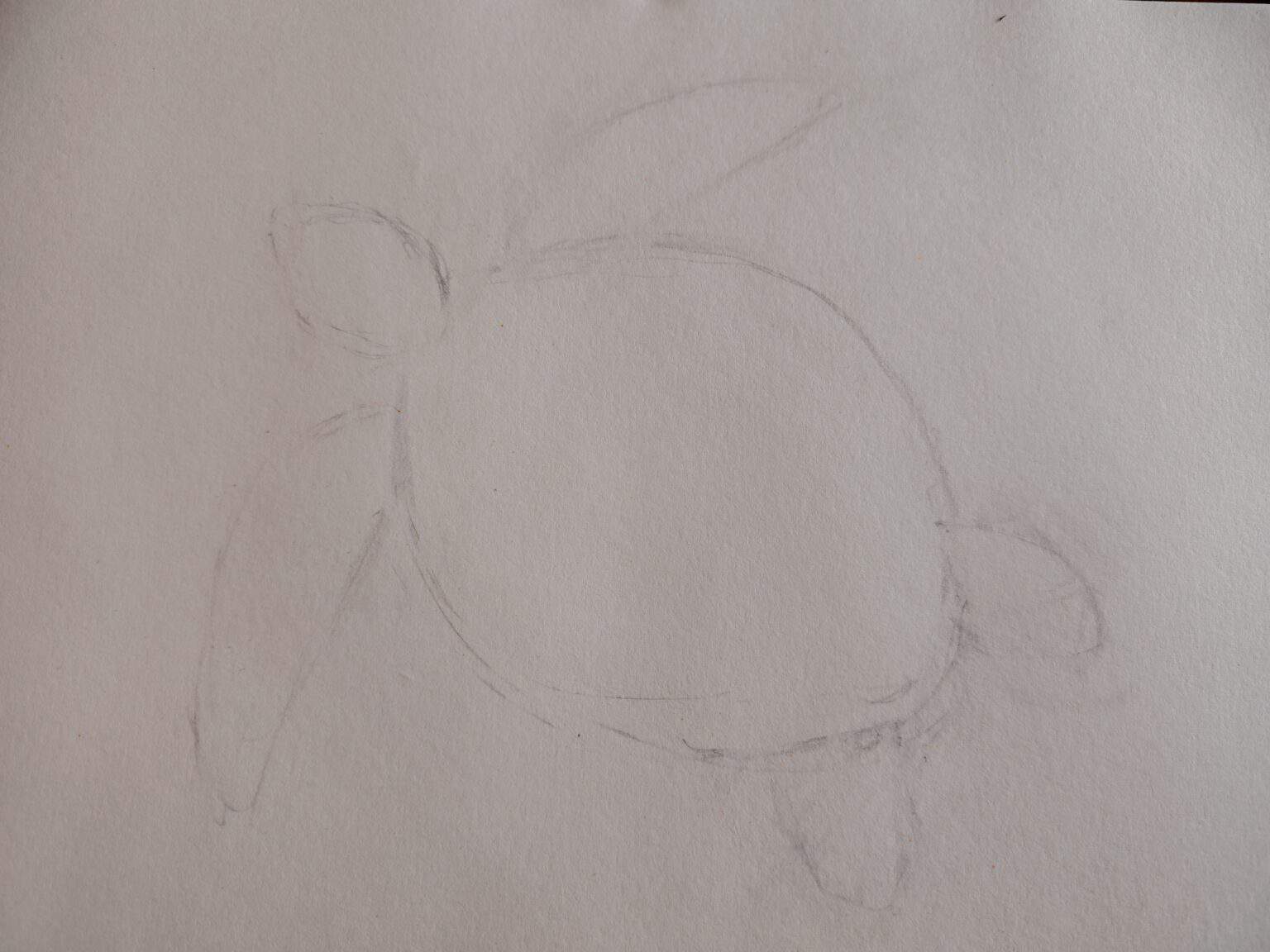 2 Realistic Sea Turtle Drawing & Sketching Ideas [For Artists] – The ...