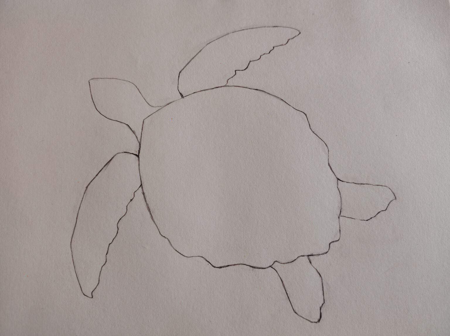 2 Realistic Sea Turtle Drawing & Sketching Ideas [For Artists] – The ...