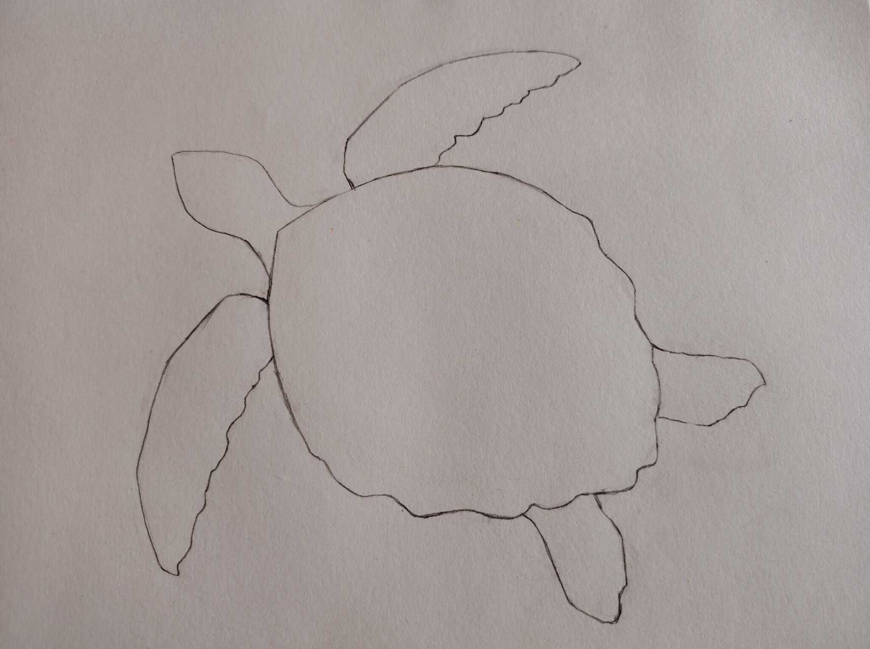 2 Realistic Sea Turtle Drawing & Sketching Ideas [For Artists] - The ...