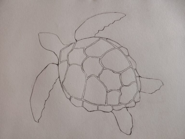 2 Realistic Sea Turtle Drawing & Sketching Ideas [For Artists] - The ...
