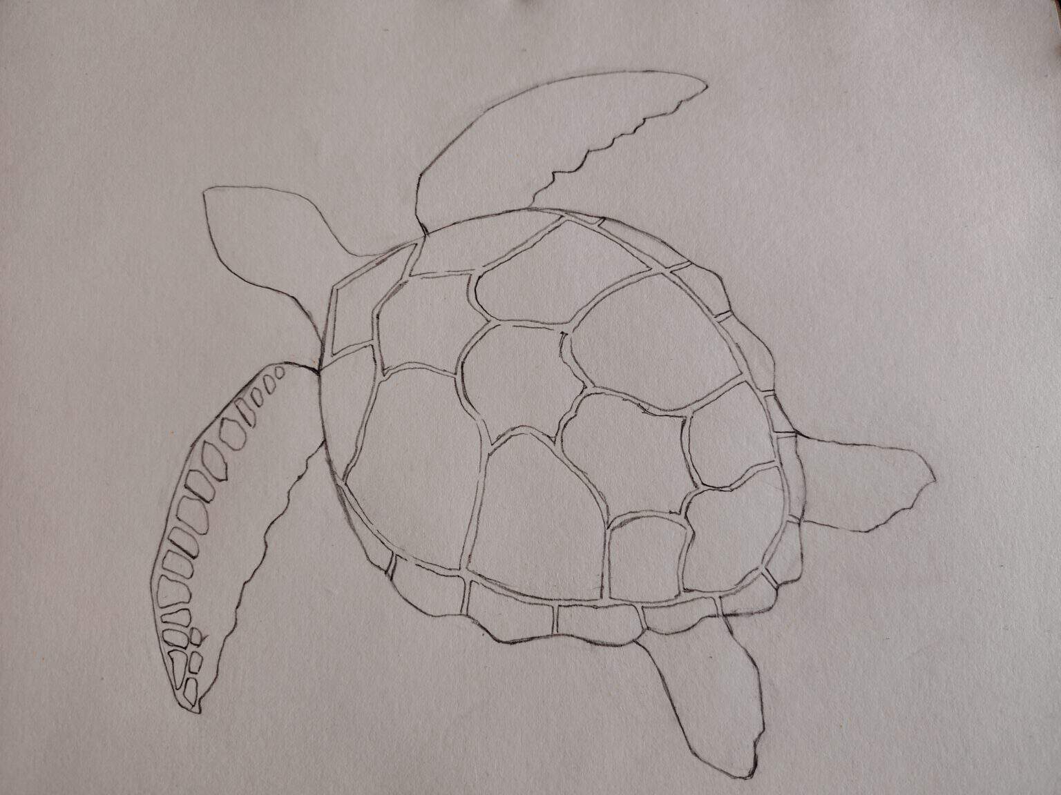 2 Realistic Sea Turtle Drawing & Sketching Ideas [For Artists] – The ...
