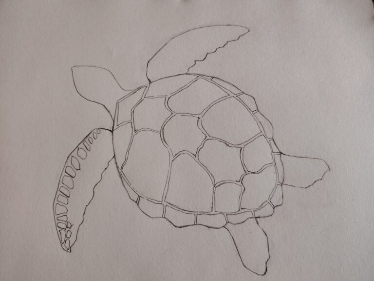 2 Realistic Sea Turtle Drawing & Sketching Ideas [For Artists] - The ...