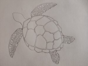 2 Realistic Sea Turtle Drawing & Sketching Ideas [For Artists] – The ...