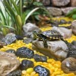 18 DIY Ideas For An Outdoor Turtle Habitat [Turtle Paradise] – The ...