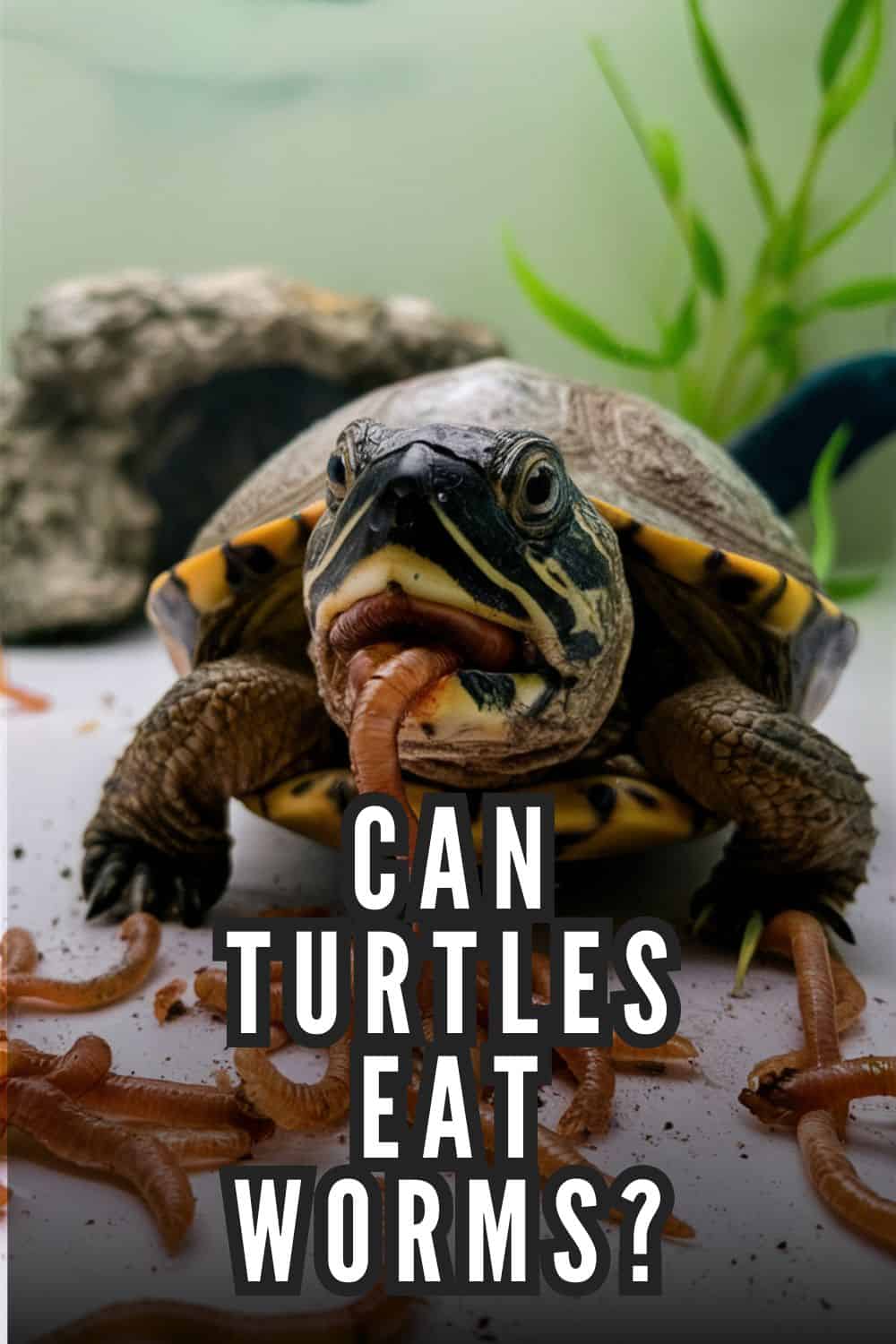 Can Turtles Eat Worms? [Safe Worms List] – The Turtle Hub