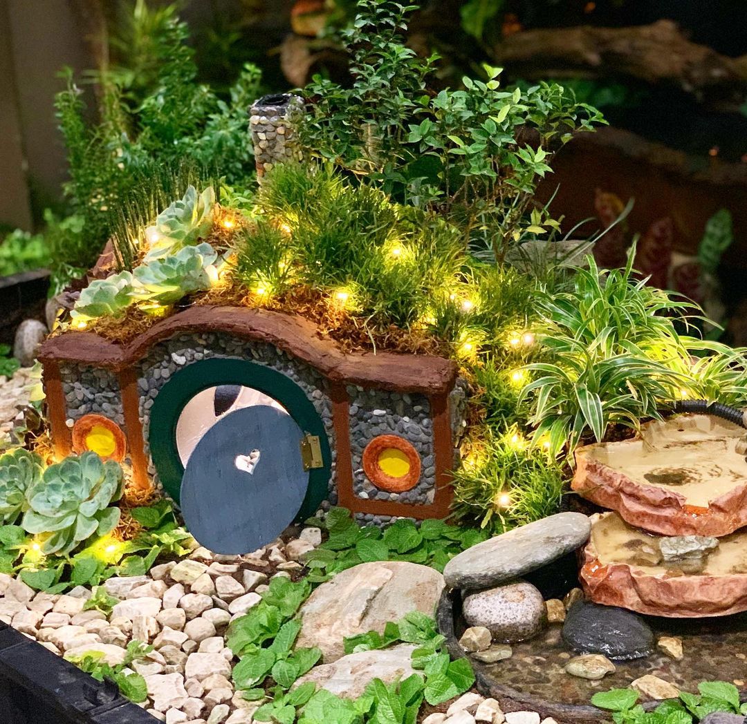 30 DIY Tortoise Enclosure Ideas For A Natural Haven – The Turtle Hub