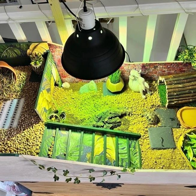 30 DIY Tortoise Enclosure Ideas For A Natural Haven – The Turtle Hub